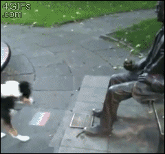 Poo GIF - Find on GIFER