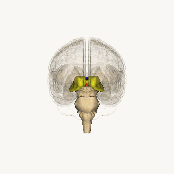 Rojo comida red GIF - Encontrar en GIFER