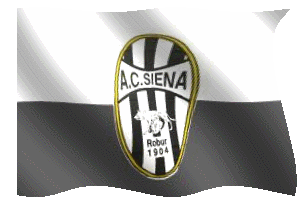 Southampton fc GIF - Find on GIFER