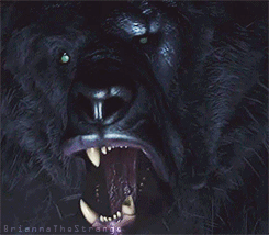 Brave GIF - Find on GIFER
