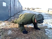 GIF hands push ups - animated GIF on GIFER