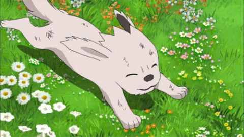 Time aly raisman aly GIF - Find on GIFER