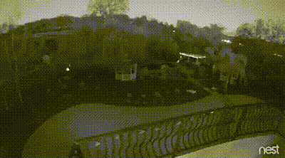 Night light camera GIF - Find on GIFER