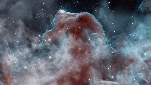 GIF humans - animated GIF on GIFER