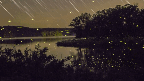 Time lapse GIF - Find on GIFER