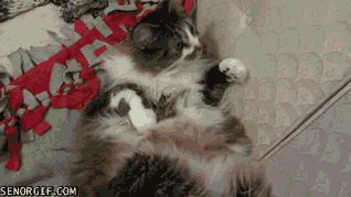 First time GIF - Find on GIFER