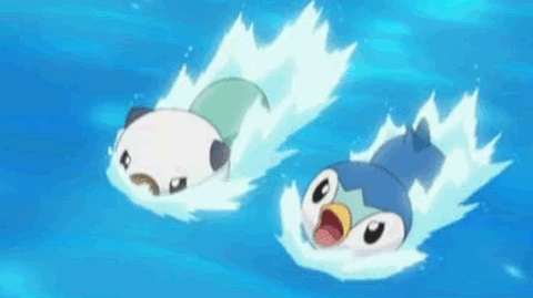 GIF piplup - animated GIF on GIFER