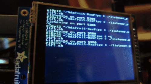 GIF raspberry - animated GIF on GIFER