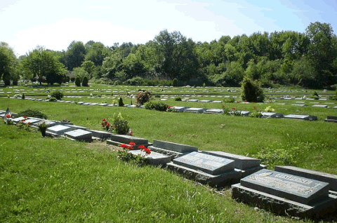 View GIF - Find on GIFER