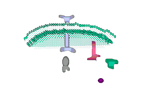 Cell animation GIF - Find on GIFER
