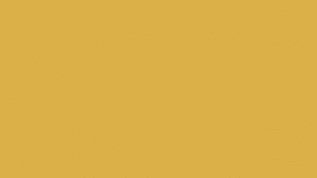 Sulu GIF - Find on GIFER
