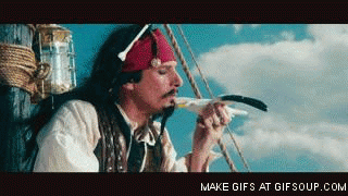 Michael v parrot GIF - Find on GIFER