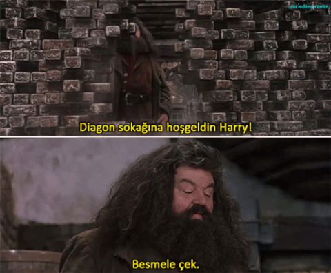 Hagrid GIF - Find on GIFER