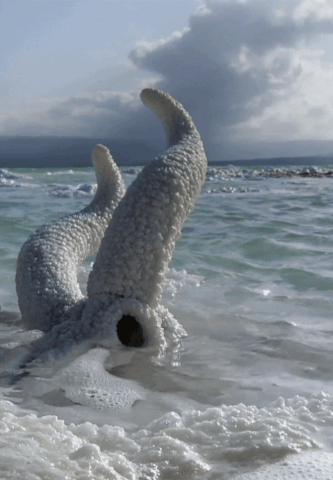 GIF relaxing - animated GIF on GIFER