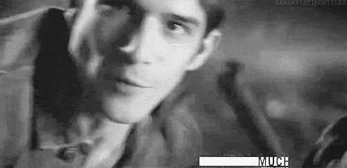 Alpha Pack Teen Wolf