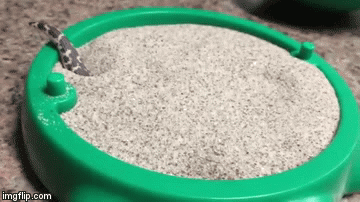 Playing sandbox GIF - Find on GIFER