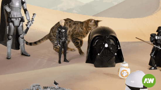 GIF bb - animated GIF on GIFER