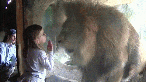 World forensics GIF - Find on GIFER