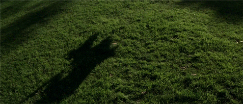 GIF red line thin - animated GIF on GIFER