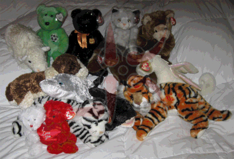 Ty GIF - Find on GIFER