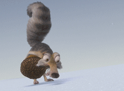 GIF squirrel - animated GIF on GIFER