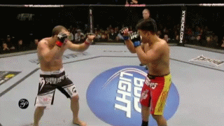 Ufc GIF - Find on GIFER