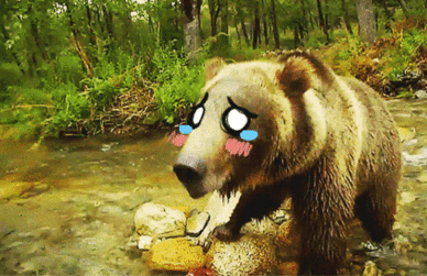 Bobina Di Film Gif Animata Adesivo Retangular Personalizado Com Sua