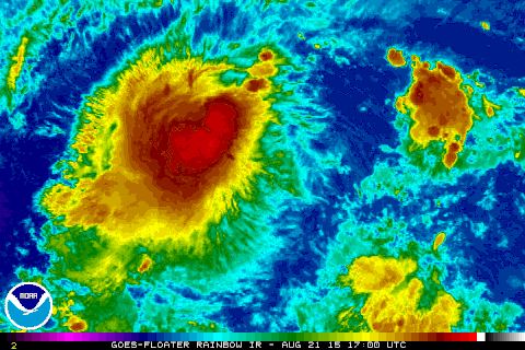 Tropical GIF - Find on GIFER