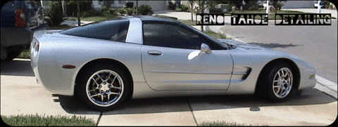 GIF auto - animated GIF on GIFER