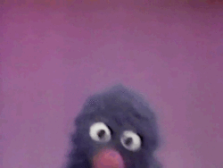 Grover sesame street GIF on GIFER - by Granidar