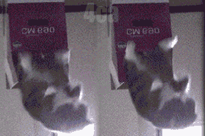 Infinite GIF - Find on GIFER