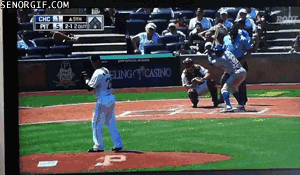 Chestnuts GIF - Find on GIFER
