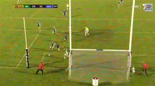 International GIF - Find on GIFER