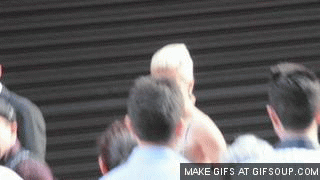 GIF mh - animated GIF on GIFER