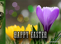 GIF greeting - animated GIF on GIFER