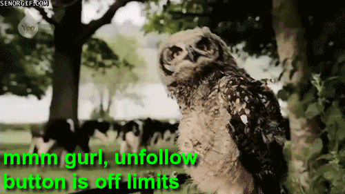 Followers GIF - Find on GIFER