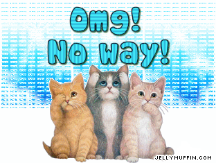 Misc GIF - Find on GIFER