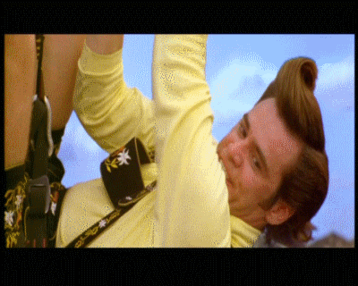 Misc GIF - Find on GIFER