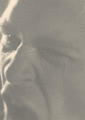 Reaction face s reactions GIF - Find on GIFER