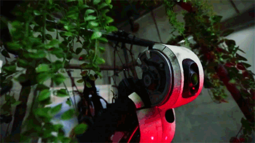Glados GIF - Find on GIFER