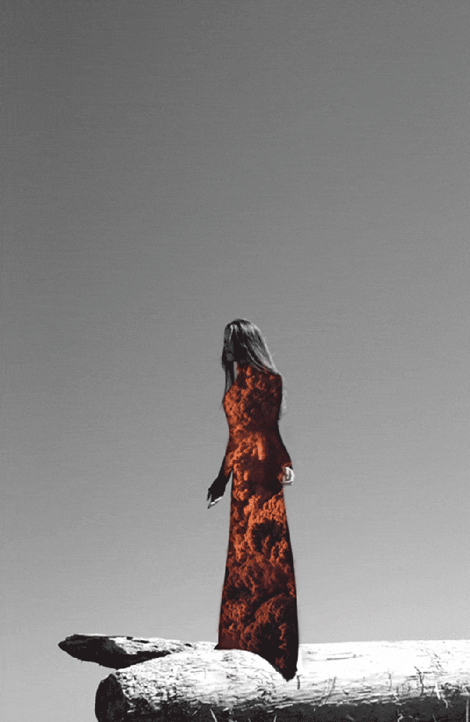 Artists century exposure GIF - Find on GIFER