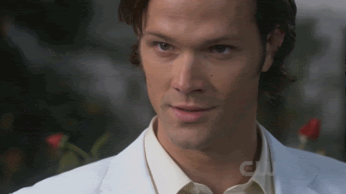 Fierce GIF - Find on GIFER