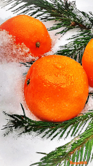 GIF winter - animated GIF on GIFER