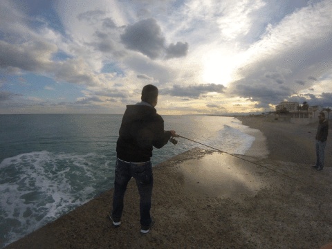 Sh GIF - Find on GIFER