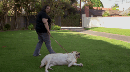 With recap GIF - Find on GIFER