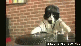 Rapping GIF - Find on GIFER