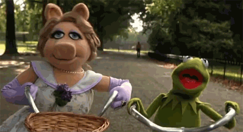 GIF fringe - animated GIF on GIFER