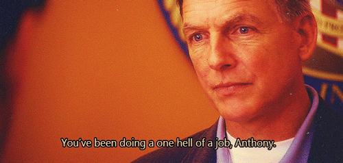 Leroy jethro gibbs GIF - Find on GIFER