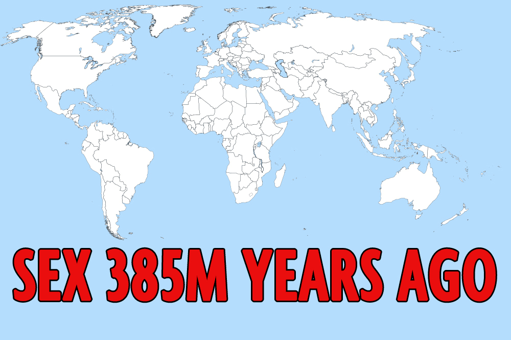 World tradition GIF - Find on GIFER