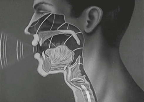 Human GIF - Find on GIFER